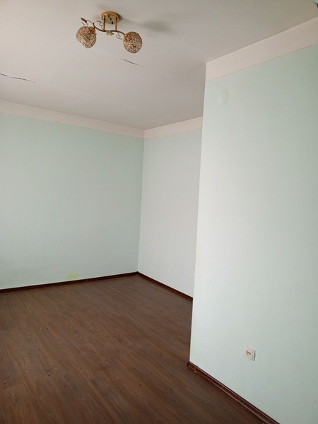Shaxrisabzdan kotej srocni sotiladi