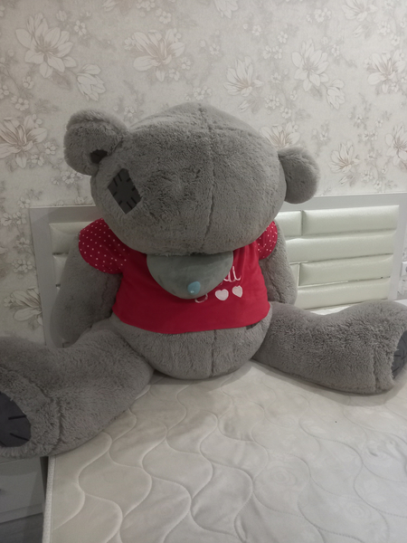 Teddy teddi teddiy har xil razmer