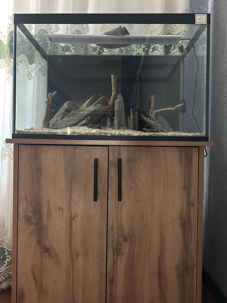 Akvarium - Bek Aquariuim