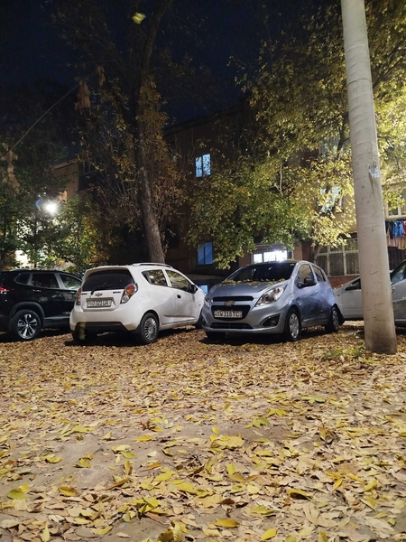 Spark mexanika 2019