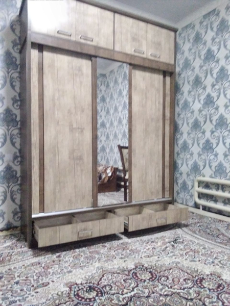 Shkaf kupe 180x250