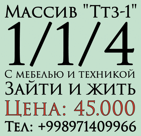 Ттз-1. 1-Комн. 1-Этаж. Студия. Чистая. Кирпичный.