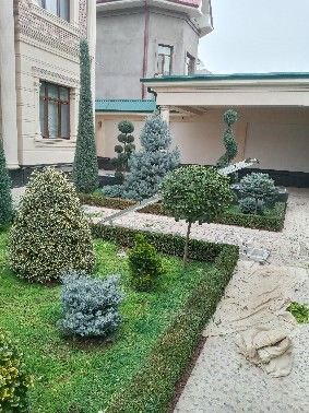 Gazon Landshaft polift Toshkent Jizzax Samarqand bo’ylab qilamiz.