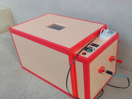 Incubator, incubator avtomat
