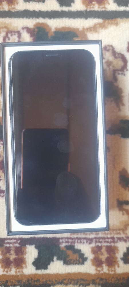 IPhone 11 pro max 256 gb