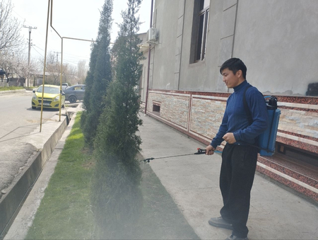 Gazon va archa ekamiz dorilash xizmati ham bor