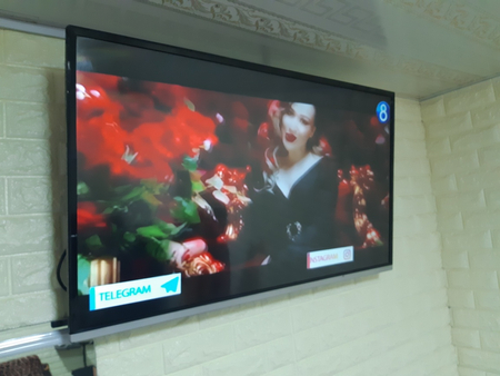 Artel tv 43 lik sotilad