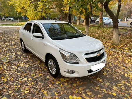 Собалт 2019/20 срочно