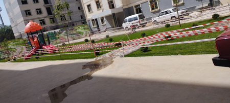 Газон посадим с смена