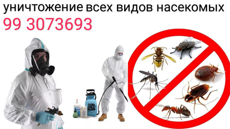 Dezinfeksiya klapa tarakan Дезинфекция dezenfeksiya дезинсекция