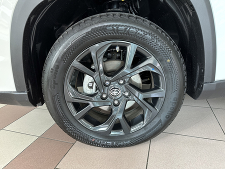 Toyota Urban Cruiser 2024
