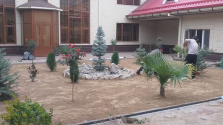 Gazon Ekamiz va tayori oʻrnstamiz