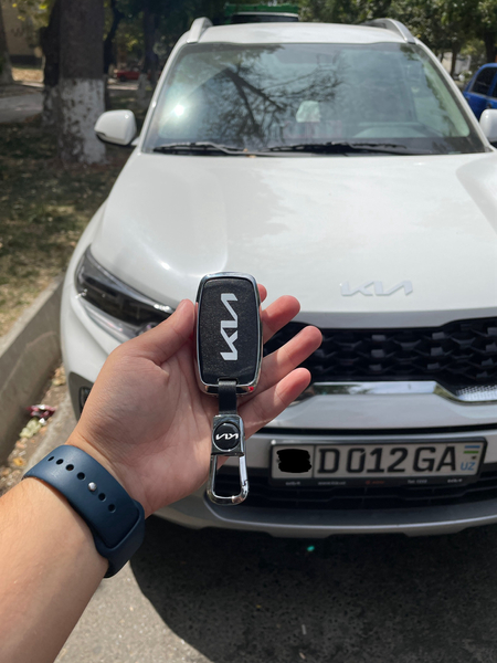 Kia Sonet Pult Chexol