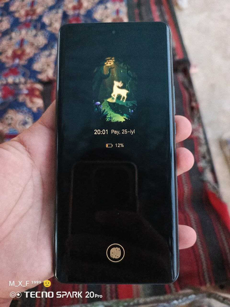 Honor X9b 8/256 Gb 5G