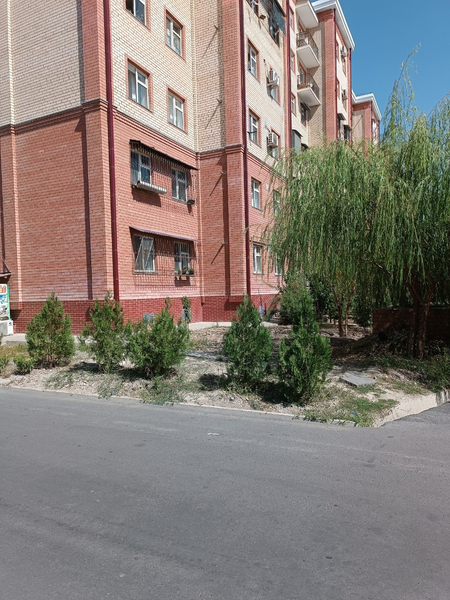Sergili, Yangi xayot 5a