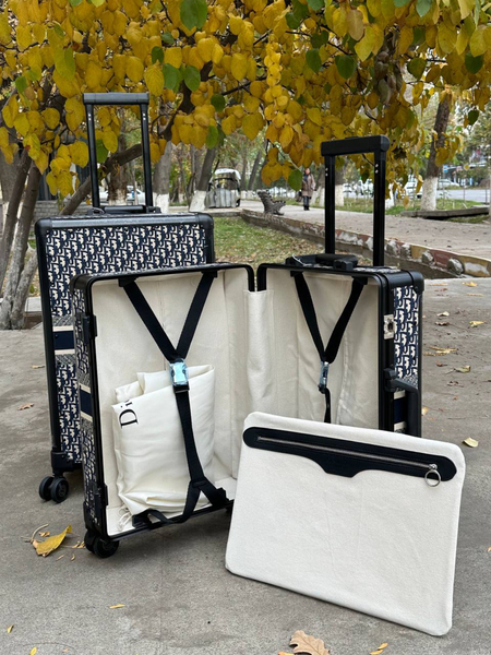 Чемоданы   PREMIUM. DIOR