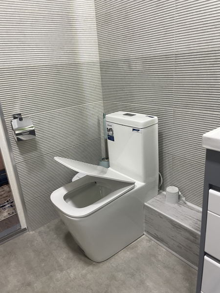 Ustanovka unitaz rakvina smistitel oyna nabor