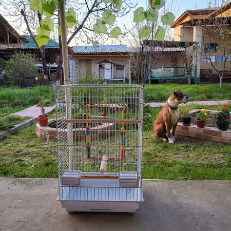 Клетка для попугая