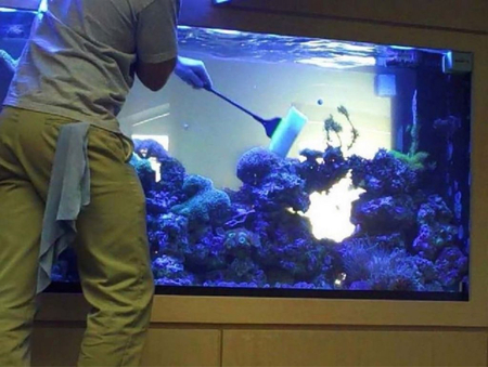 Akvarium tozalash xizmati / Чистка аквариума Aquashop