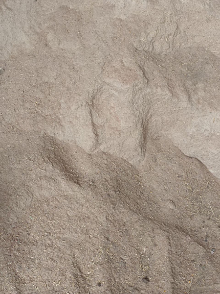 Bug'doy joxori kepak sechka shulxa shrot kunjara silos arpa suli yem