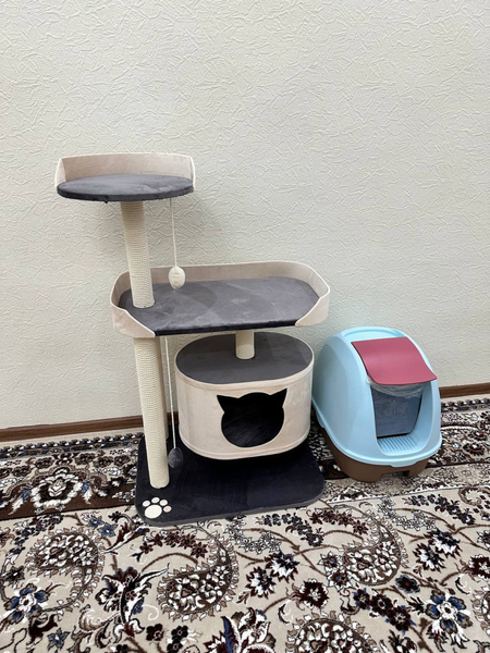 Дом кота