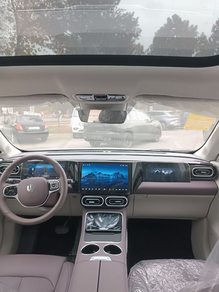LeapMotor C11 Gibrid