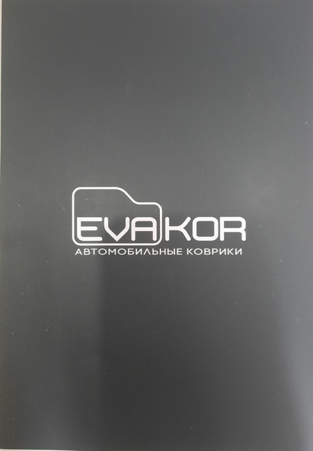 Автомобильные коврики Evakor