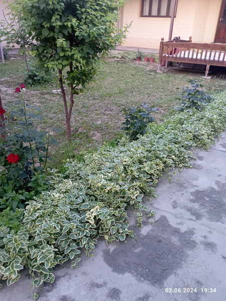 Gavrdisnkiy gai shahar
