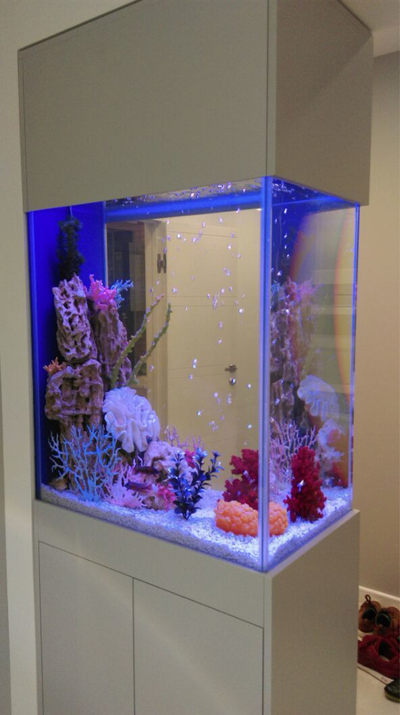 Akvarium tozalash xizmati / Чистка аквариума Aquashop