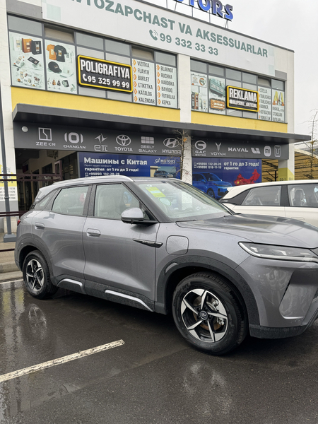 BYD Yuan Up full 2024