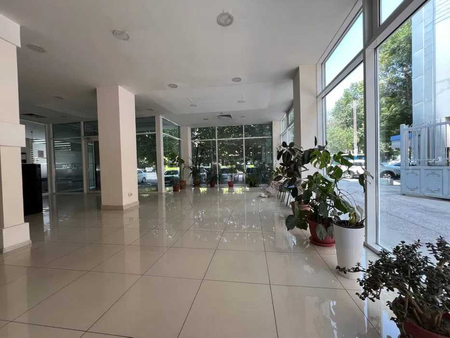 Сдам Офис 205м² в Бизнес Центр, ул. Шота Руставелли, Парк Бабура