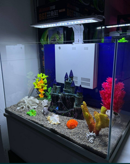 Akvarium MAGAZIN