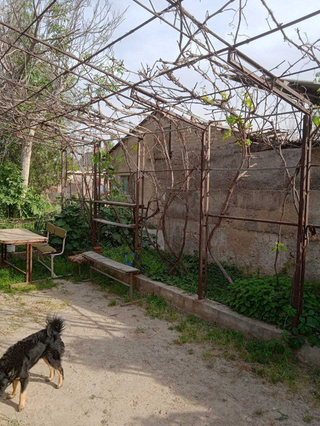 Продаётся дача участок Акмал Икрамов dacha sotiladi kadastr bor.