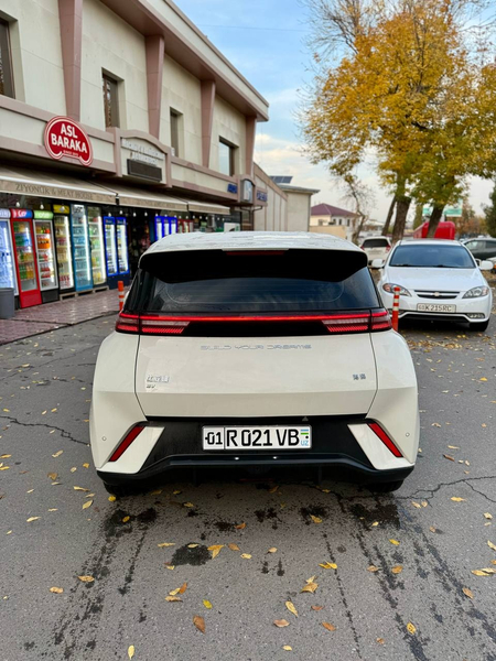 Arenda vikup. BYD seagull. 2023.
