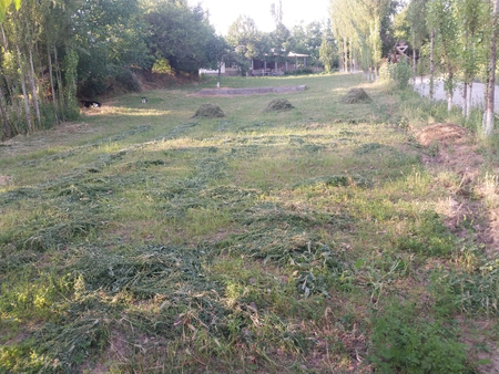 10 sotik yer sotiladi quruq yer