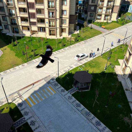 Продам трешку полноценную в Istanbul city 83m2 на А. Каххара центр!`