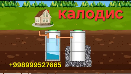Куза калодис казамиз