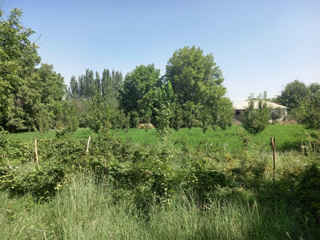 Narxini kelishamiz