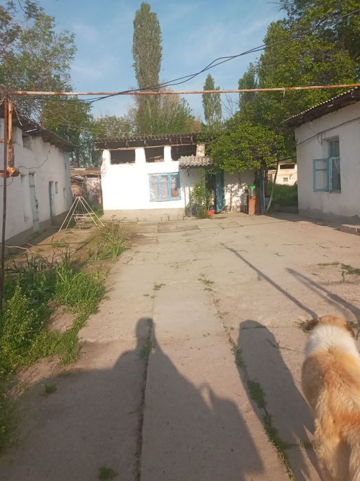 Ортачиршик туман Саид ауыл МФИ