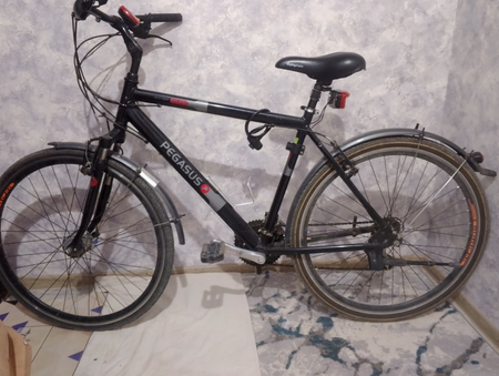 Velosioet sotiladi Pegasus germanskiy