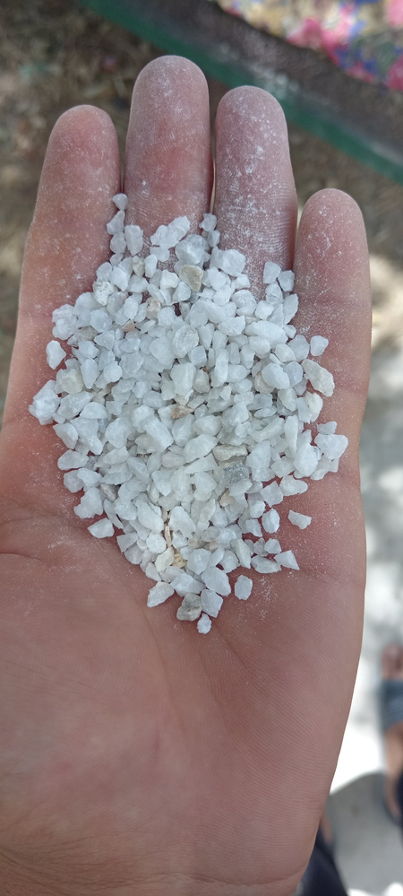 Kuroshka sichka pil