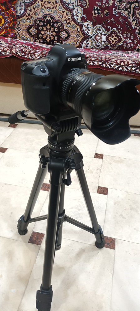 Canon6D Sastayani Ideal