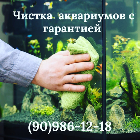 Чистка аквариумов