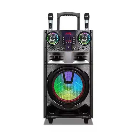 Kalonka HS TS12Q8  / Караоке 80W