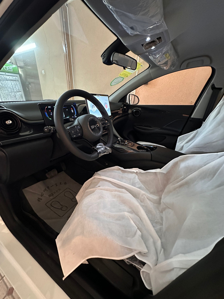 BYD E2 luxury 2024