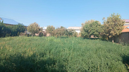 Srochno Термиз шахар Партизанда  yer sotiladi