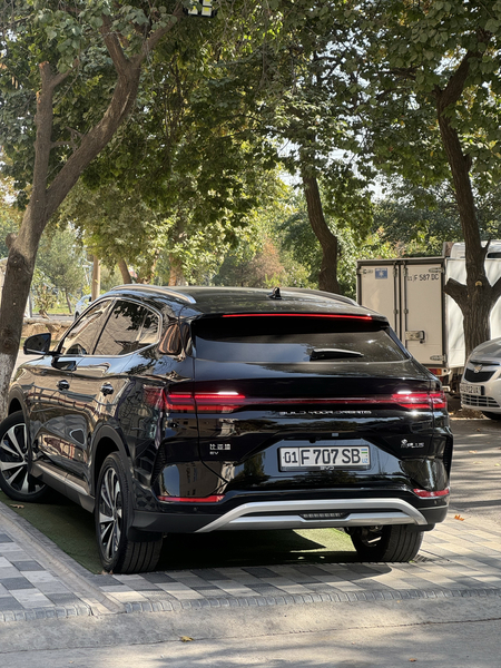 BYD chempion 2023 yil