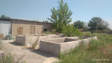 Продается земля 46 соток в Янги Чиназе на берегу реки Сырдарья (А)