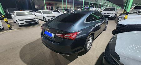 Malibu primier 2022