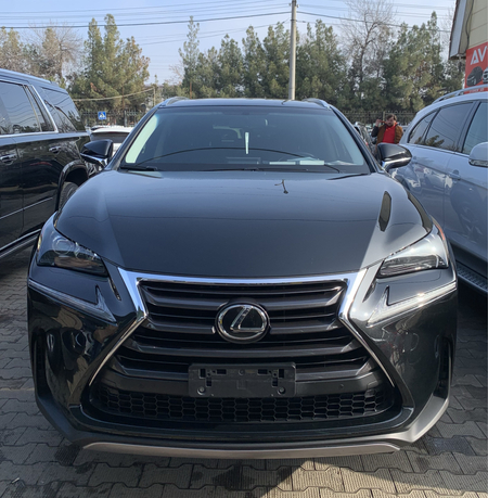 Lexus NX200t 2016 Тоза/Бензин